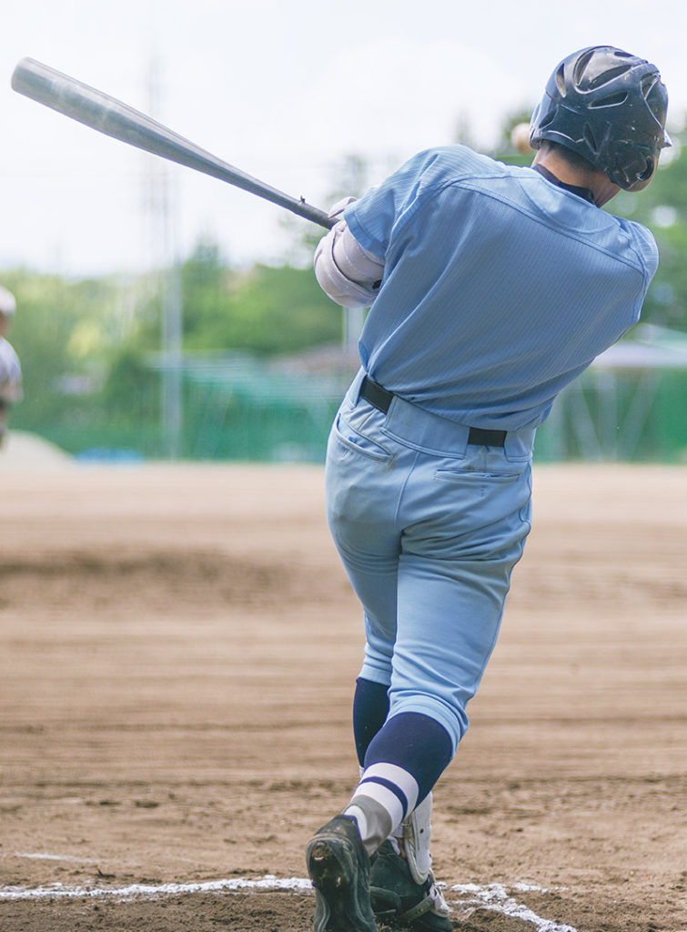 VIVAネットワーク